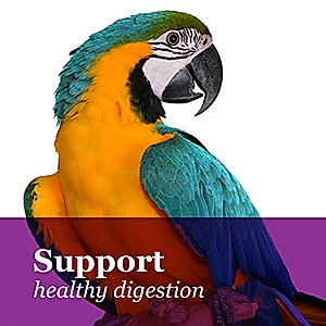 Tropical Carnival F.M. Brown's Gourmet Macaw Food Big Bites for Big Beaks, Vitamin-Nutrient Fortified Daily Diet with Probiotics for Digestive Health - 14lb