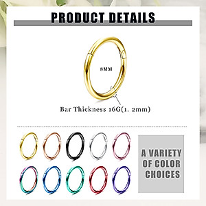 BESTEEL 10 Pcs 16G 18G Hinged Clicker Nose Rings Helix Cartilage Daith Hoop Earrings for Women Men Septum Tragus Sleeper Conch Piercing Earring Set 8-12MM