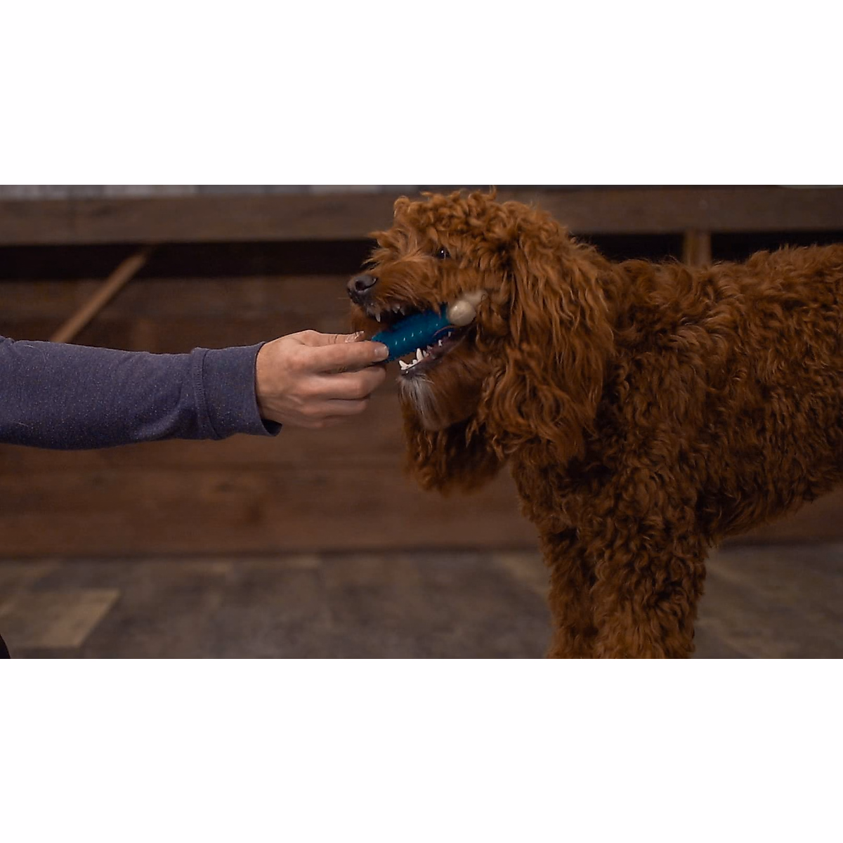 HERO | Bonetics Dental Bone | Dog Bones | Puppy Bones | Designed for Medium Dogs Up to 45 lbs (Mint Flavor)