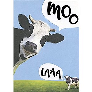 Designer Greetings Moo Laaa Cows Funny/Humorous Birthday Card