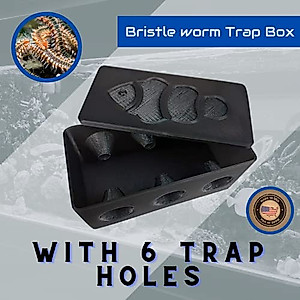 Bristle Worm Trap Saltwater Aquarium, Sinking Bristle Worm Trap Box, Bristle Worm Catcher Aquarium Saltwater Aquarium Black Unique