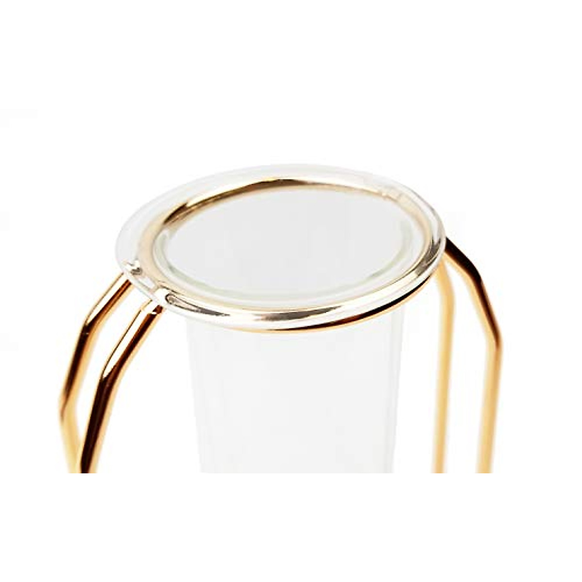 FSyueyun Desktop Glass Vase with Metal Frame，Modern Creative Hydroponics Vase Metal Flower Planter Terrariums Plant Glass-Gold (6.3Inch)