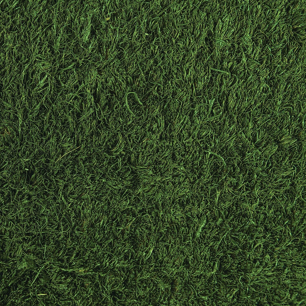 NoTrax, Green Rubber-Backed Natural Coir Doormat, Entry Mat for Indoor or Outdoor Use, 18"x30", C04 (C04S1830GN)