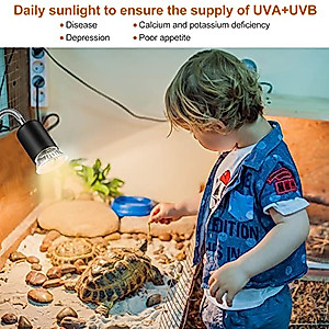 3 Set Reptile Heat Lamp Turtle Lamp Holder Fixture Clamp Basking Spot Lamp Adjustable 50W UVA UVB Full Spectrum Sun Lamp Sunbathe Heat Bulb for Turtle Snake Aquarium Chameleon Amphibian, Black