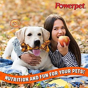 Powerpet Jr. Mammoth Bone - Halloween Dog Treats, Natural Beef Dog Chew Bones, Digestible Dog Bones w/High Calcium, for Dental Health, Large Breeds & Aggressive Chewers - Odorless, Smoked Flavor 1pc