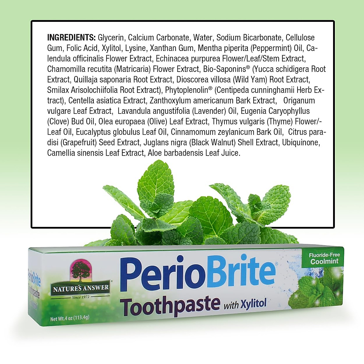 Nature's Answer Periobrite Toothpaste Coolmint | Natural Enamel Whitening | Great for Sensitive Teeth | Fresh Breath | Cavity Protection