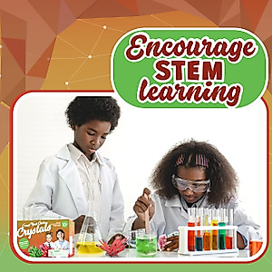 PURPLE LADYBUG Crystal Growing Kit for Kids for 10 Year Old Boys & Science Kits for Kids Age 12-14 - Fun STEM Projects for Kids & Science Experiments Educational Activity Kits for Teens