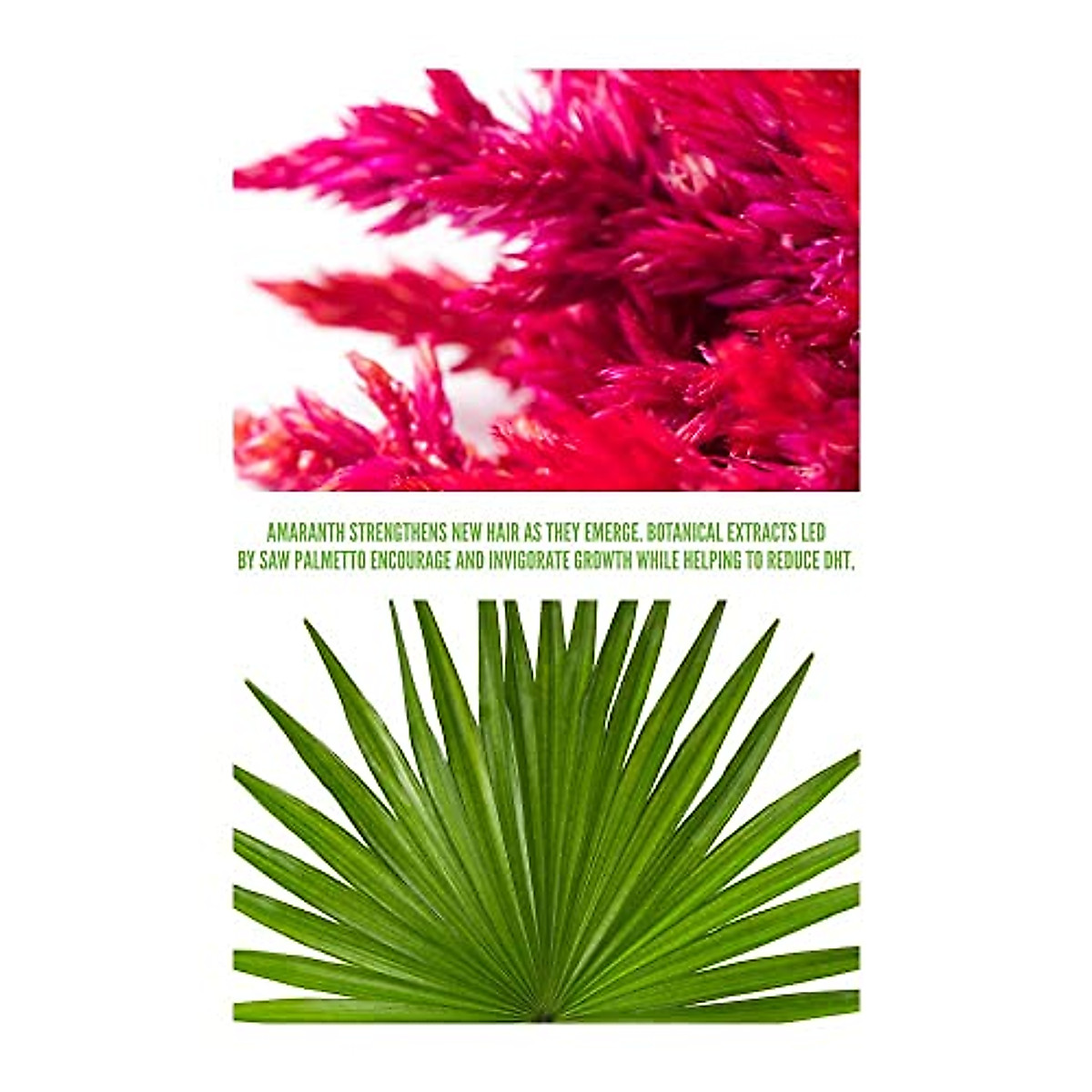 Surface Hair Awaken Therapeutic Conditioner, Healthy Hair Conditioner with Protein, Thickening Conditioner, Treatment for Thinning Hair and Hair Loss