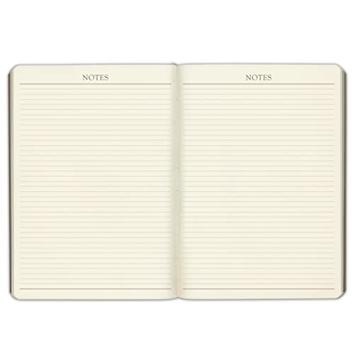 2024 Gallery Leather Desk Weekly Planner - Acadia Black - 8x5.5"