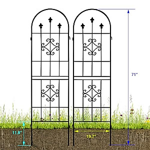 LZRS 2 Pack 71x20in Rustic Garden Trellis with Black Coating Decorative Potted for Climbing Outdoor Roses Vines Flower Vegetable Supports