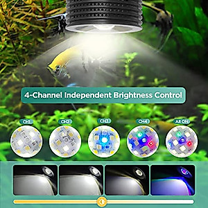 Lominie LED Aquarium Light, 4 Channels Adjustable 6500K Planted Tank Light with Gooseneck for Freshwater Fish Tank Refugium Supports Remote Controller (F20 18W Freshwater)
