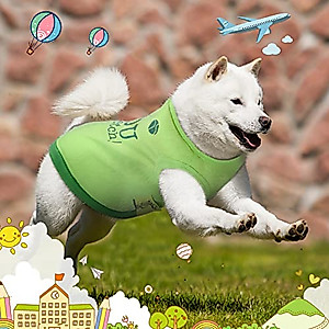 6 Pieces Dog Clothes for Small Dog Dog Shirts for Medium Dogs Letters Dog Clothes Dog Outfits Puppy Shirts Pet T Shirt Dog Clothes for Chihuahuas Dog Sweatshirt for Pet Dogs Accessories (Small)