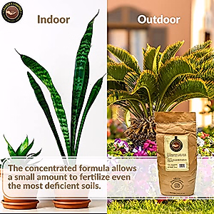 Charlie's Vegan Compost - Concentrated Organic Gardening Vegan Cruelty Free Plant Soil Amendment Dirt Booster - Indoor or Outdoor Garden Farming, Increase Yield in Vegetables, Plants - 10 Lb