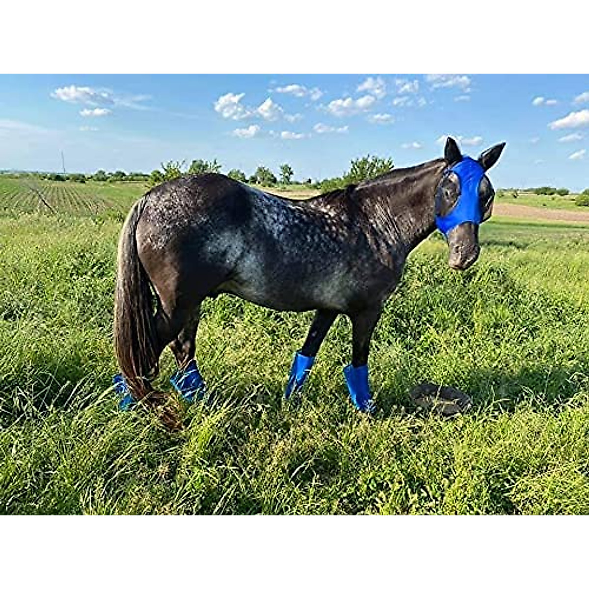 Fly Free Insect Protection Boots, Blue, HORSE