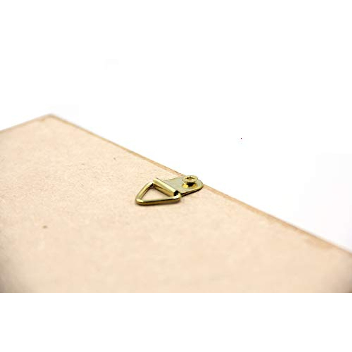 Real Exotic Cicada Opens Wings - Taxidermy Collection Framed in a Wooden Box As Pictured (Blue Wings, Wooden Box)