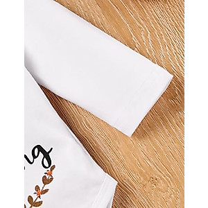 Hipealy My First Thanksgiving Baby Girl Outfits Newborn Pumpkin Long Sleeve Ruffle Romper Pumpkin Floral Skirt fot Infant Fall Outfits 0-18 Months