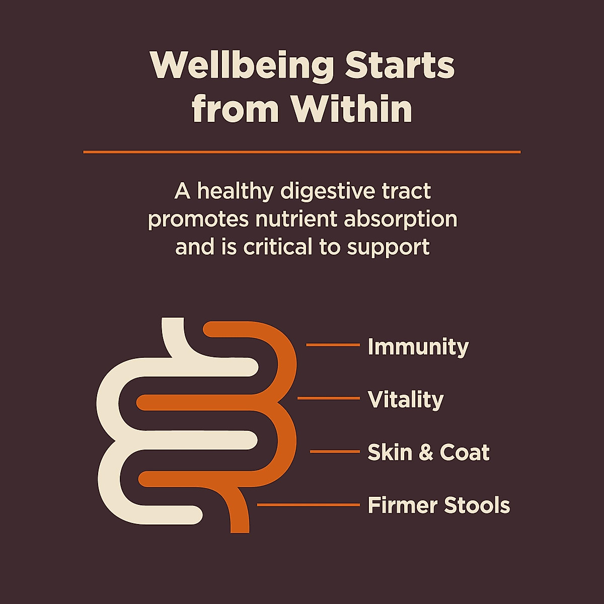 Wellness CORE Digestive Health Dry Dog Food with Wholesome Grains, Highly Digestible, for Dogs with Sensitive Stomachs, Made in USA with Real Chicken (Adult, 4-Pound Bag)