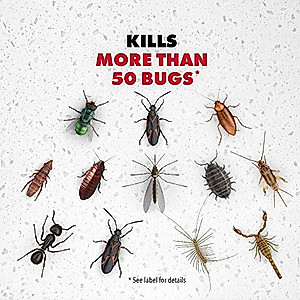 Raid Max Perimeter Protection, 30 Oz Bottle