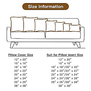 Soleebee Set of 2 Throw Pillow Covers Soft Cozy Velvet Pillowcase Faux Rabbit Fur Cover for Couch Sofa Bed Chair Home Decorative Pillows Cover (18x18 Inch, HOT Pink)