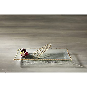 Mud Pie Glass and Gold Serving Platter with Tongs Set