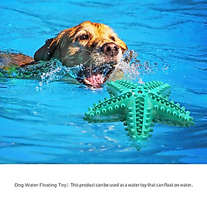 ANROD Dog Toothbrush Chew Toys for Aggressive Chewers Large Breed,Squeaky Talking Dogs Toy,Rubber Indestructible Tough Teeth Cleaning Stick for Small Dogs Dental Care (Yellow Starfish)