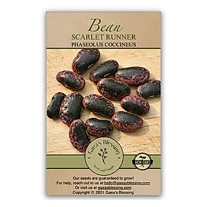 Gaea's Blessing Seeds - Scarlet Runner Bean Seeds - Non-GMO Seeds for Planting with Easy to Follow Instructions 94% Germination Rate