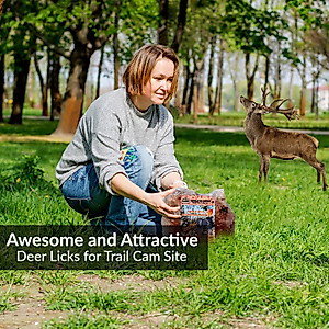 Himalayan Nature Animal Licking Pink Salt Rock Lick Deer| 5 Pound