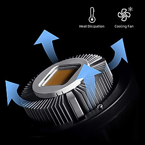 Godox SL-60W LED Video Light and Softbox,Light Stand,Honeycomb Grid Compatible Film Studio Photography Studio (2PCS)