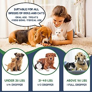 Natural Oil for Dogs and Cats - Natural Oil Drops with Omega Fatty Acids - Hip and Joint Support and Skin Health 240330071