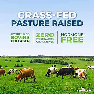 Collagen Peptides Powder Unflavored - Hydrolyzed Collagen Protein Powder Type 1, 2 & 3 - Grass Fed Keto Collagen Powder for Women & Men - Vital Hair, Skin, Nails, Joints, Recovery, 11g Per Serving