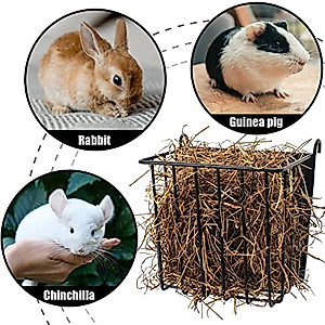 Guinea Pig Hay Feeder，Rabbit Hay Feeder with Heavy-Duty Metal Frame Hay Holder，for Bunny, Guinea Pigs,Chinchillas-6.9x4.7x6.6 inch