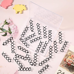 WILLBOND 25pc Spiral Hair Pins Non-scratch Round Clip Corkscrew Hair Pins Round Twist Screw Pins for Women Hair Style DIY
