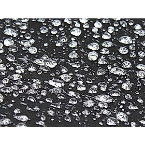 Raggtopp 14 oz Fabric Protectant