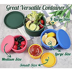 Webake Silicone Food Storage Containers with Lids, Large Nesting Portion Control Containers for Lunch Snack, Set of 4 (3oz,6oz,12oz,20oz)