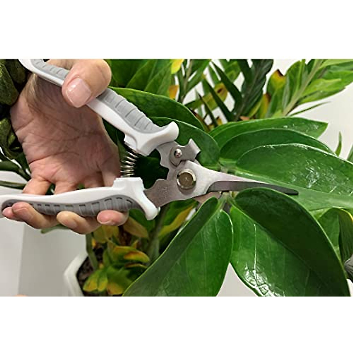 Yojii- Pruning Shears, Gardening Scissors, Pruning Shears, Natural Flower Scissors, Fruit Trees, Garden Trees, Bonsai Pruning Tools for Gardening, Farm Work, Home Gardening