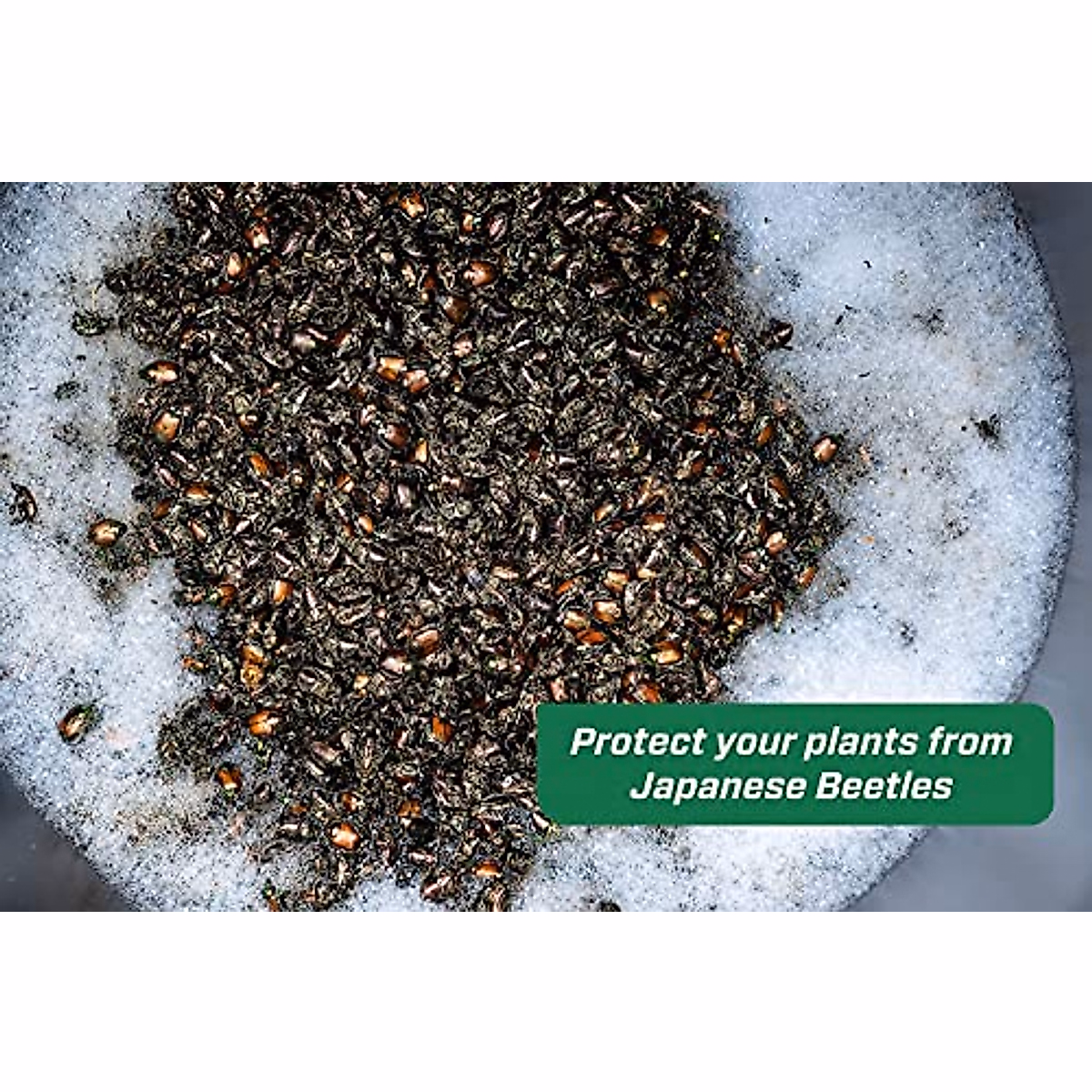 Rescue JBTZ-DB12 One Season Reusable Japanese & Oriental Beetle Traps - Quantity 5