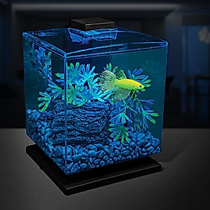 GloFish Aquarium Gravel 5 Pounds, Pearlescent, Complements Tanks and Décor, AQ-78484