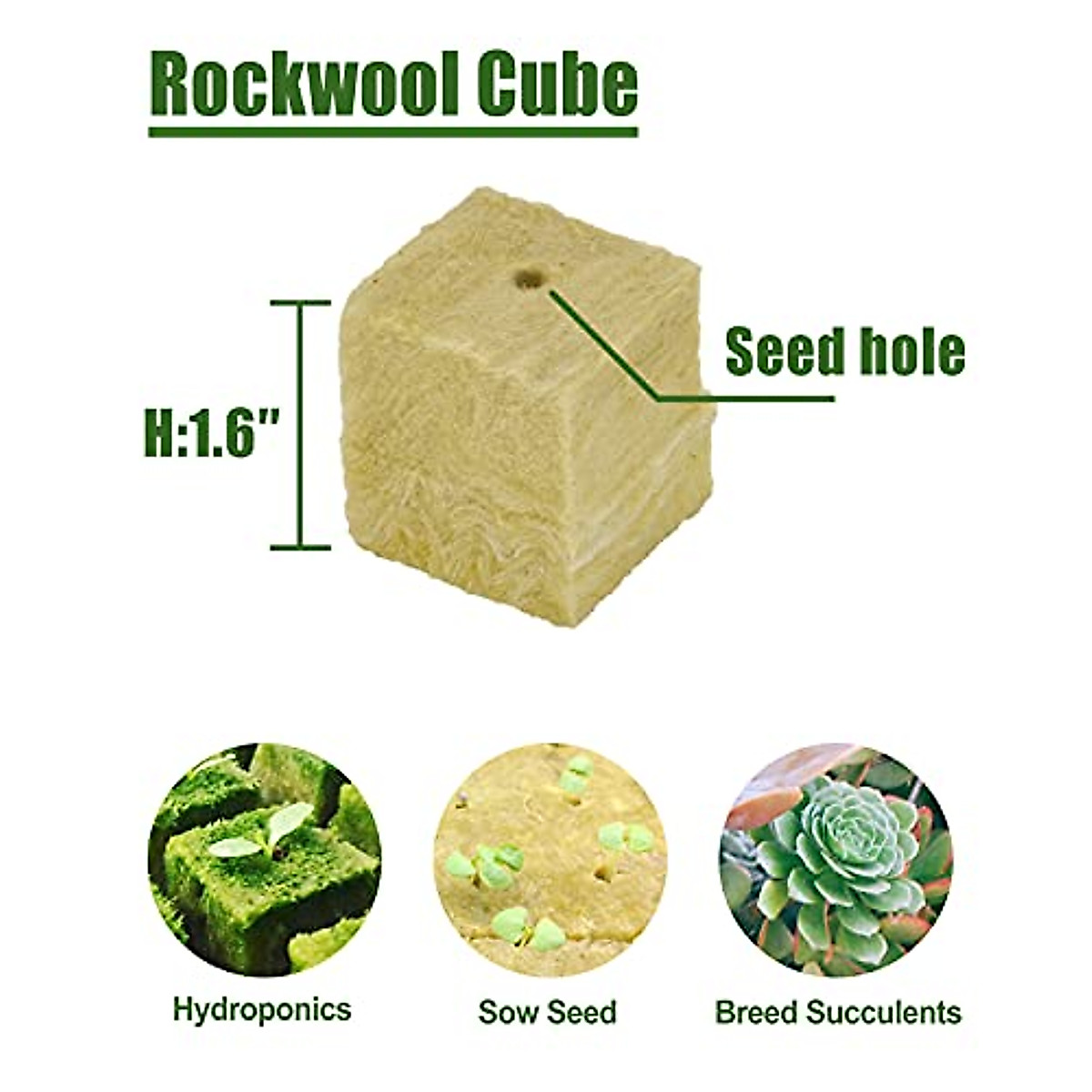 BIOMAND 1.5” Rockwool Starter Plugs for Hydroponics, Rockwool Grow Cubes, 2 Sheets of 49 Plugs, 98 Plugs Total