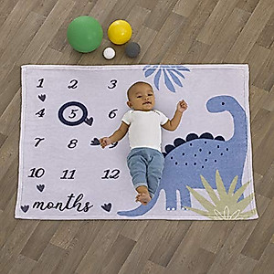 Carter's Dino Adventure Gray & Blue French Fiber Baby Milestone Blanket, Grey, Blue, Navy