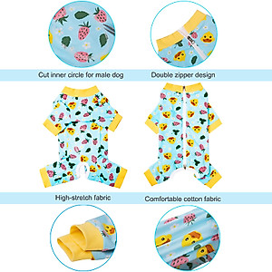 Pupsooft Dog Recovery Suit for Small Medium Large Dogs, Pet Onesie After Surgery Comfort Dog Bodysuit Anti Licking (Small, Blue)