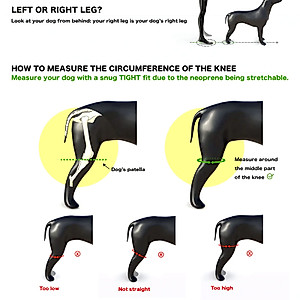 Pacify Dog Knee Brace, Dog Leg Braces for Back Leg, Dog Knee Brace for Torn ACL Hind Leg for Keep The Joint Stable and Warm(Large)