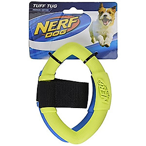 Nerf Dog 13in 2-Ring Strap Tug - Blue/Green