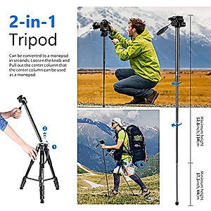 NEEWER Portable Aluminum Alloy Camera 2 in 1 Tripod Monopod Max. 70"/177cm with 3 Way Swivel Pan Head and Carrying Bag for DSLR, DV Video Camcorder (SAB264, Black)