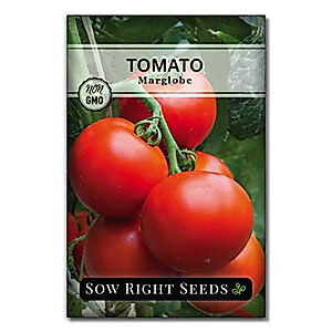 Sow Right Seeds - Classic Tomato Seed Collection for Planting - Cherokee Purple, White Cherry, Large Red Cherry, Marglobe, and Roma Tomatoes - Non-GMO Heirloom Varieties Plant a Home Vegetable Garden