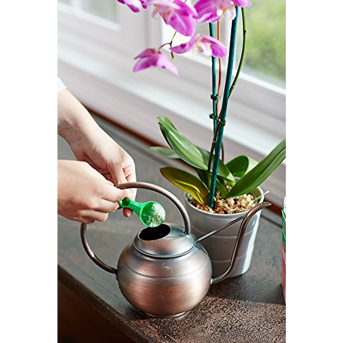 Miracle-Gro Water Soluble Orchid Food, Plant Fertilizer, 8 oz.