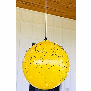 Bug Ball Gnat Ball 4 Pack Starter Complete kit - Gnats, House Fly, No-See-Um, Aphids whiteflies, and Love Bugs Trap