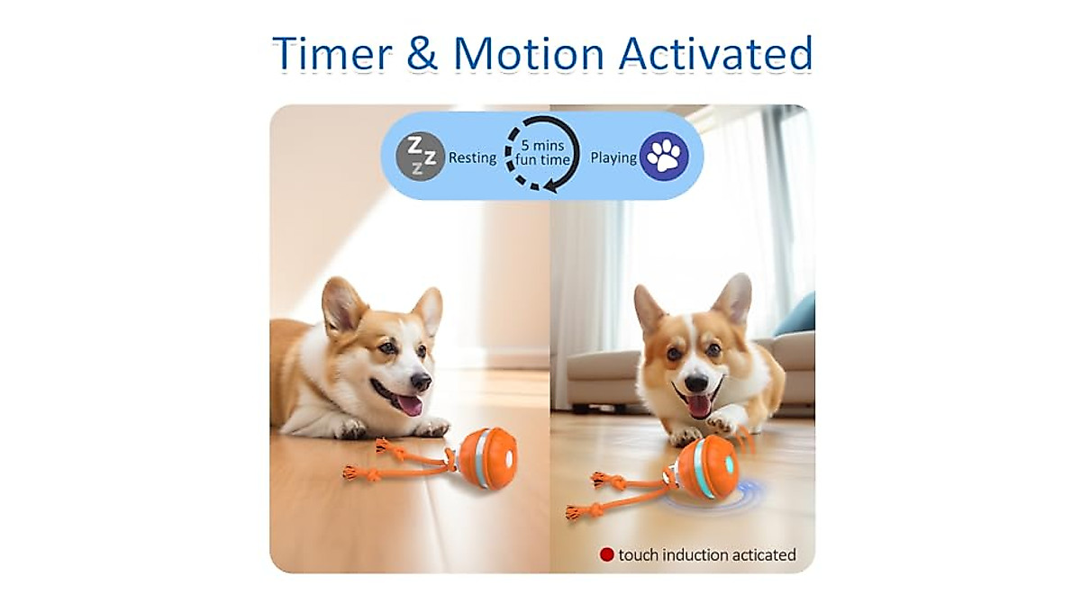 Sofolor Interactive Dog Toy - Motion Activated Ball