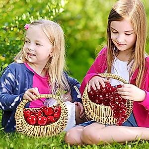 Taiyin 3 Pcs Rattan Basket Half Moon Wicker Basket Willow Straw Basket Small Woven Basket with Handle Wedding Flower Girl Baskets Sturdy Picnic Basket for Garden Storage Home Decor