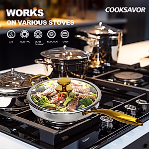 Cooksavor Hybrid Non Stick 12 inch Frying Pan with Lid, Stay-Cool Handle, PFOA-Free Cookware, Woks & Stir-fry Pans Nonstick, Dishwasher and Oven Safe