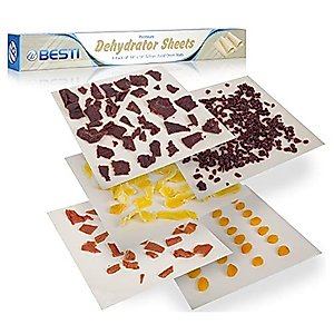 Premium Dehydrator Sheets (Pack of 9) by Besti | Non-Stick Reusable Teflon Food Dryer Mats for Excalibur Trays|Fit Models 2500, 2900, 3500, 3900, 3926t|Multipurpose Cooking & Baking Liners |14" x 14"